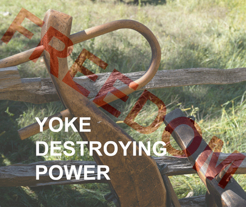 Yoke Destroying Power - Wright Way Ministries